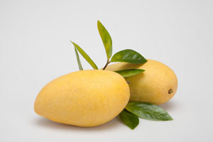 海南芒果_椰岛农事